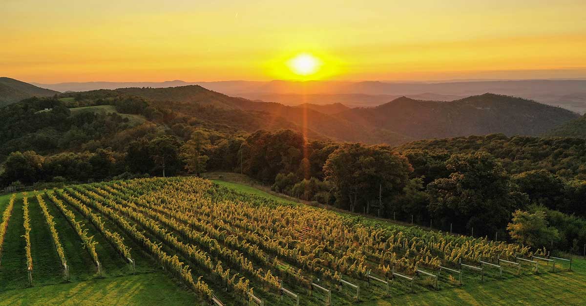 Wineries for Sale in Virginia - Vineyards for Sale in VA