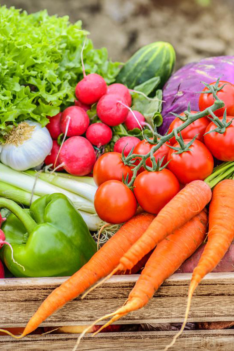 Successful Subscription Club Course by Aquino Baron